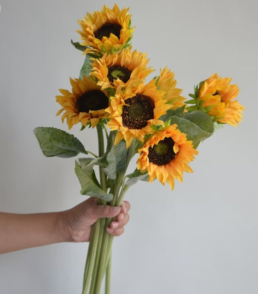 Collections – Overcast Farm