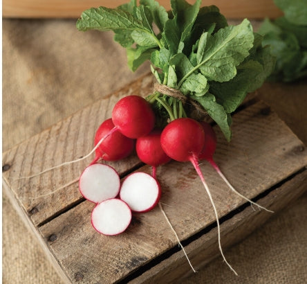 Radish Bunch – Overcast Farm